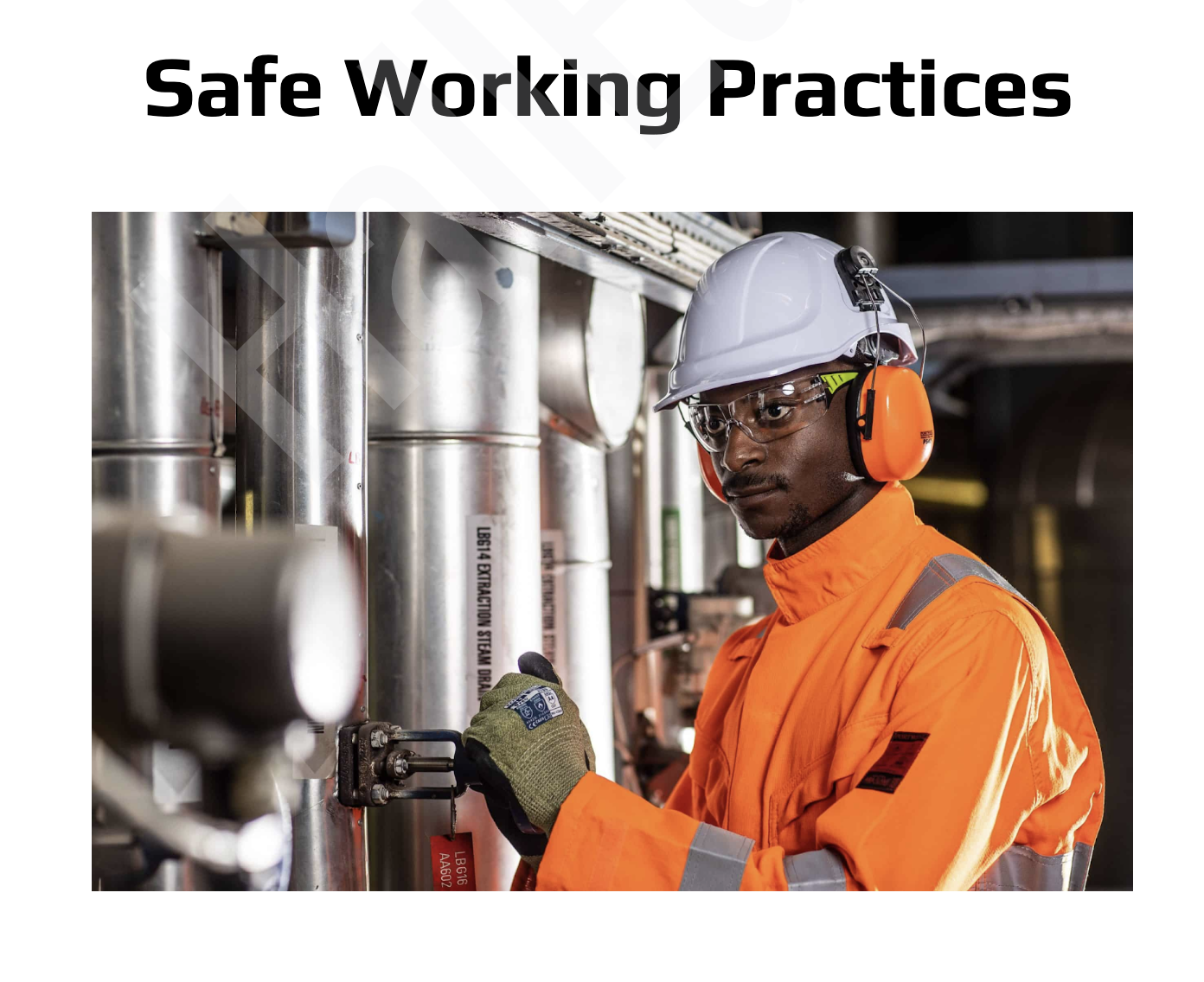 Week 5 Update: Progress in LCHT Apprenticeship – HallEdu